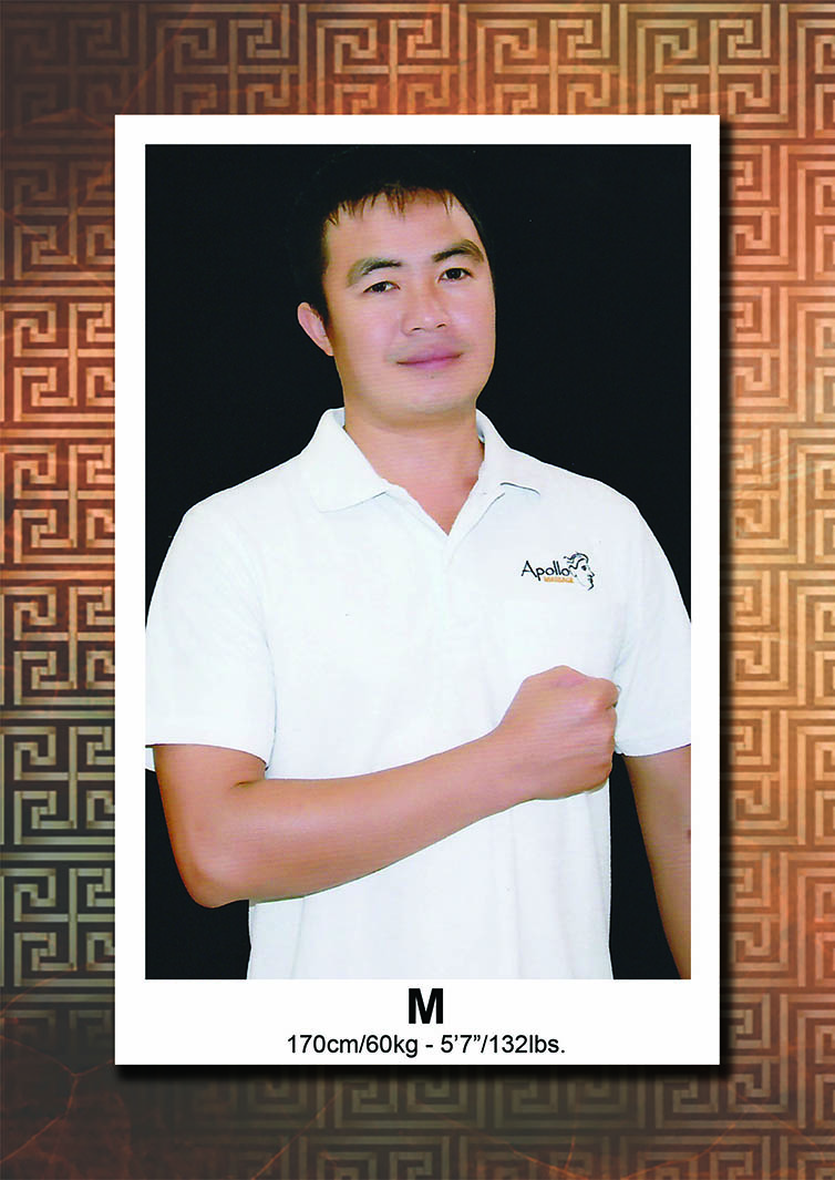 Apollo Massage Masseurs
